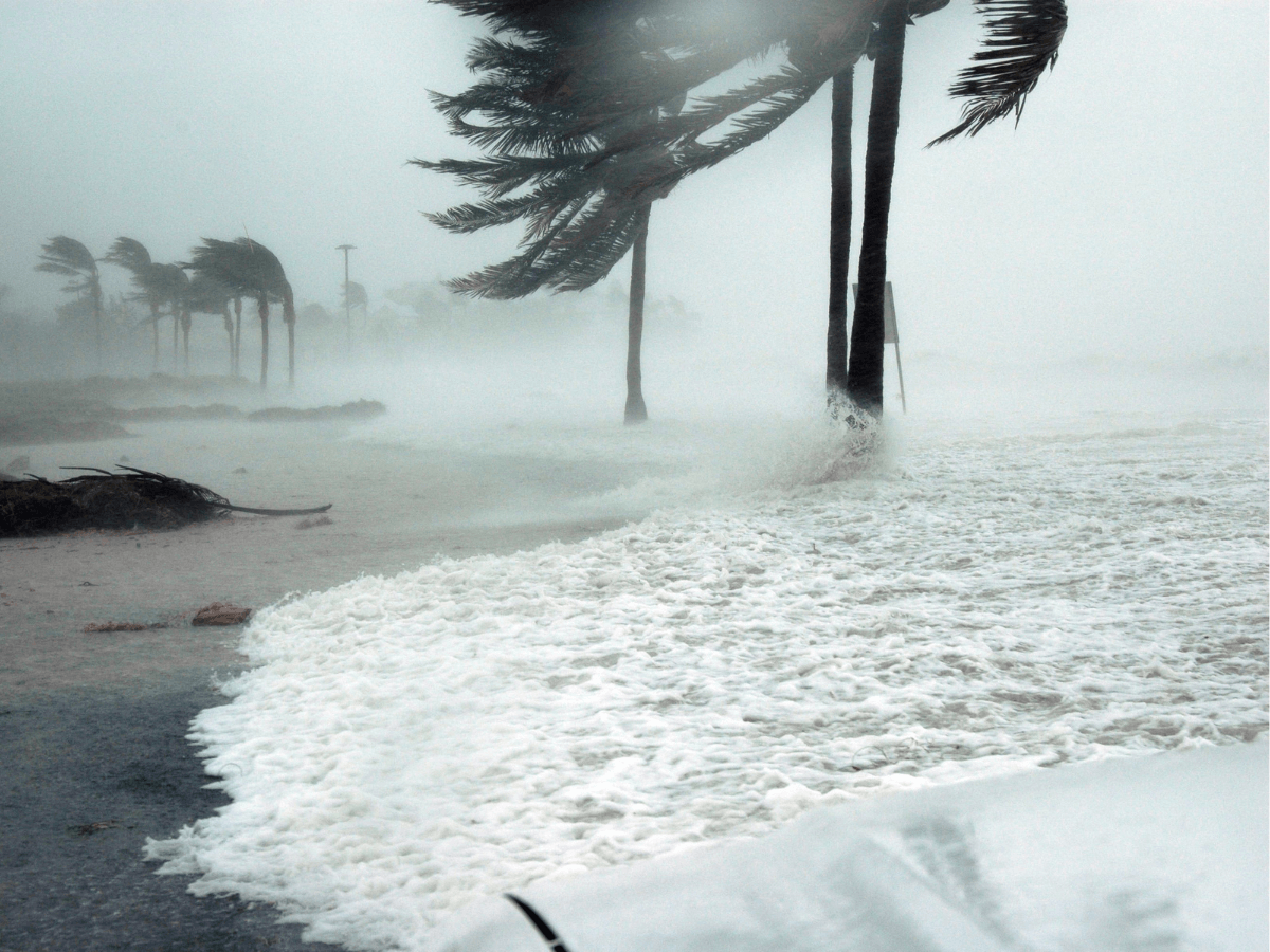 Nossa análise anual de 2025 | Intersec